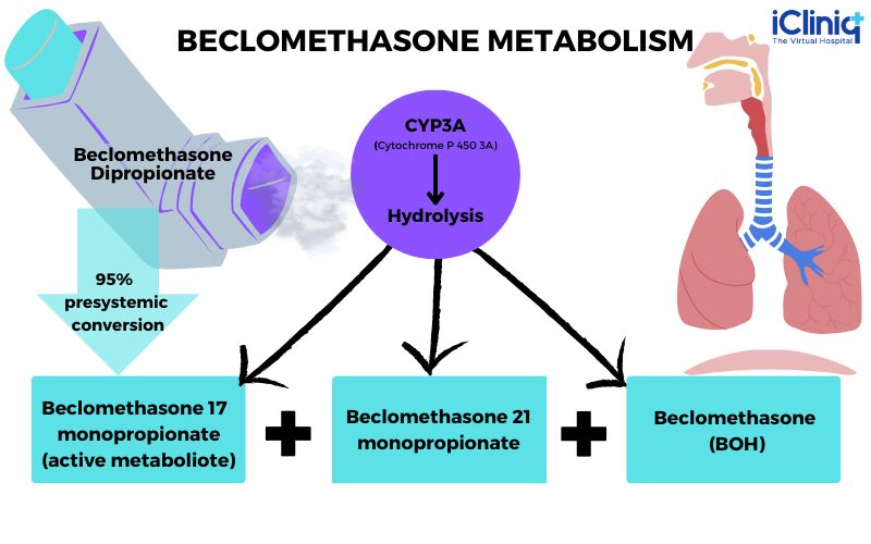 Beclomethasone Dipropionate Inhaler