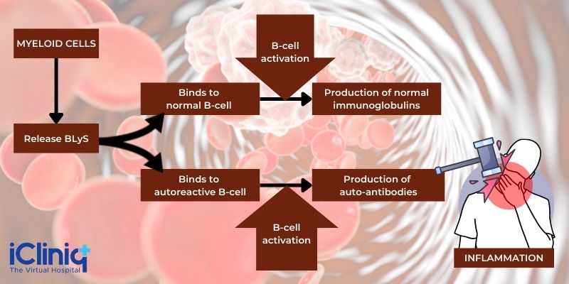 Belimumab - Overview | Uses | Warnings