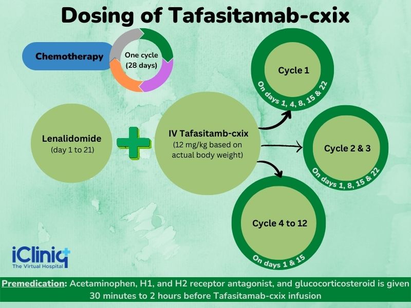 What Is Tafasitamab Used For?