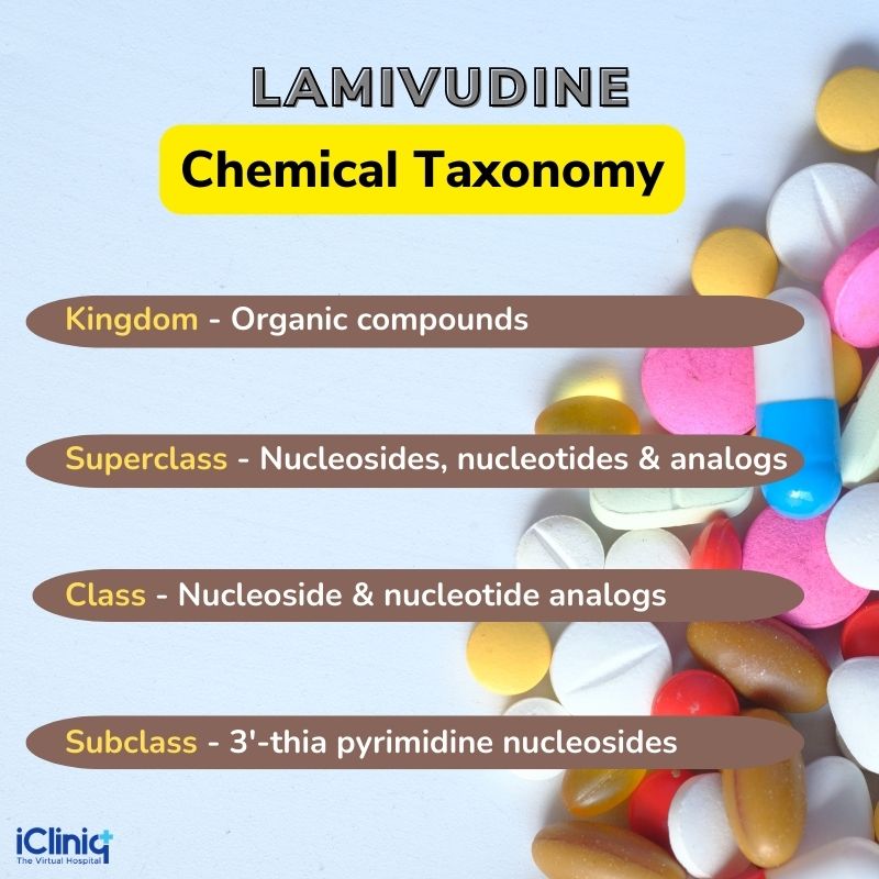How Does Lamivudine Work to Treat Hepatitis B?