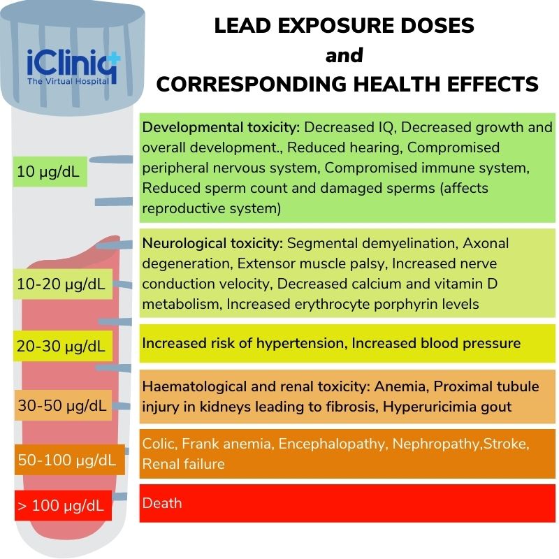 What Is Lead Contamination?