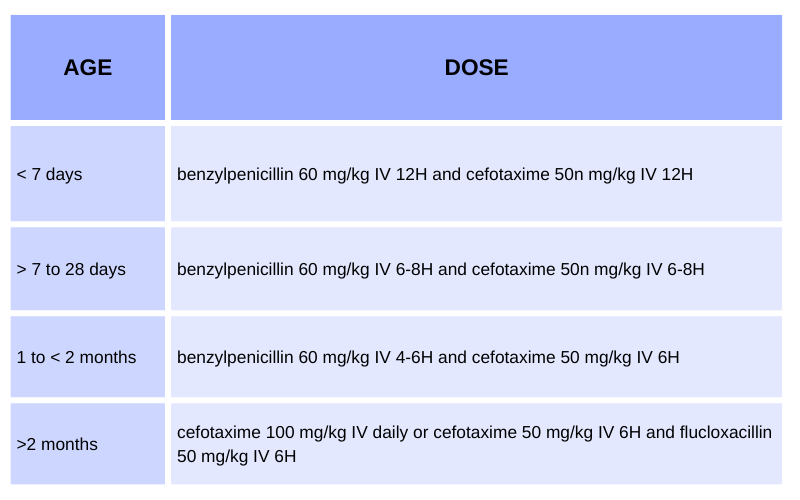 Why Neonatal Sepsis Causes Shock?