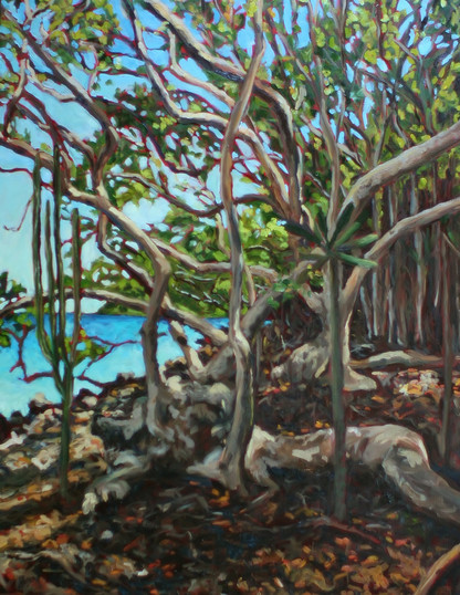 Cindy Crowell : Image Gallery 1