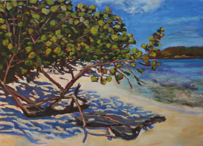 Cindy Crowell : Image Gallery 1