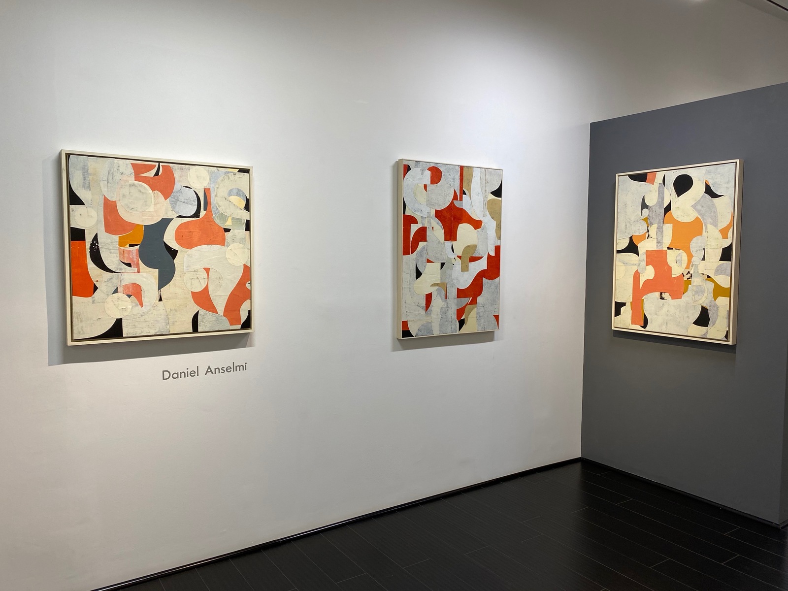 DANIEL ANSELMI : Installation Photos