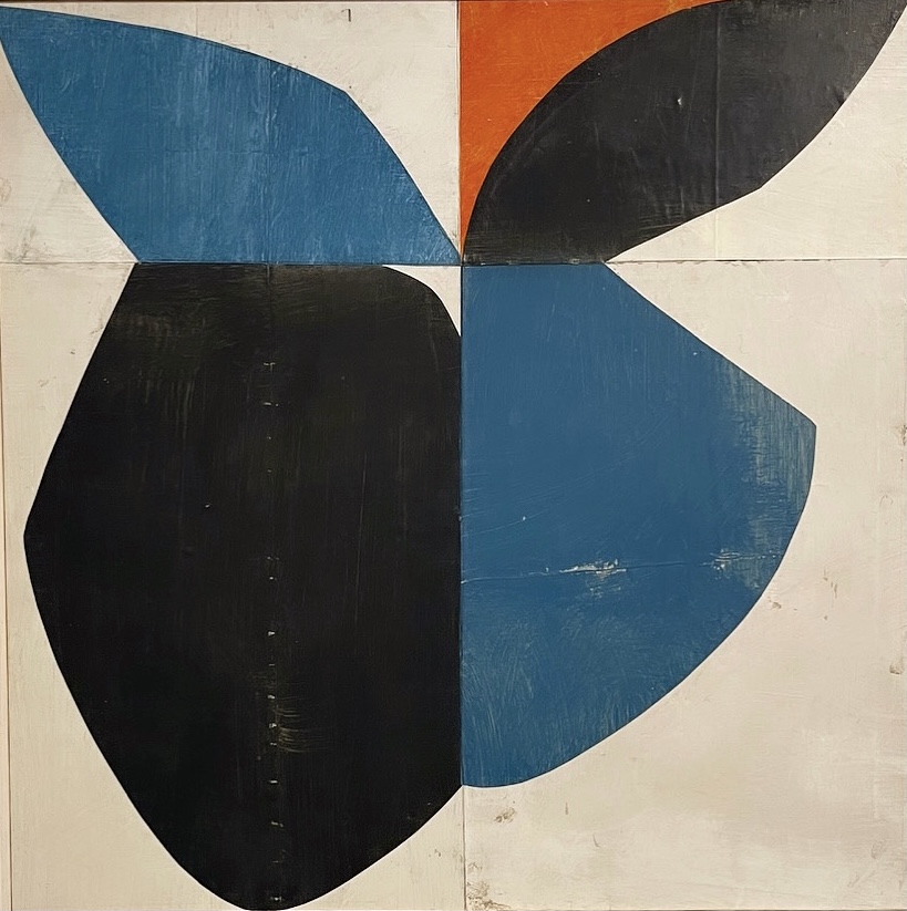 DANIEL ANSELMI : Portfolio Paintings