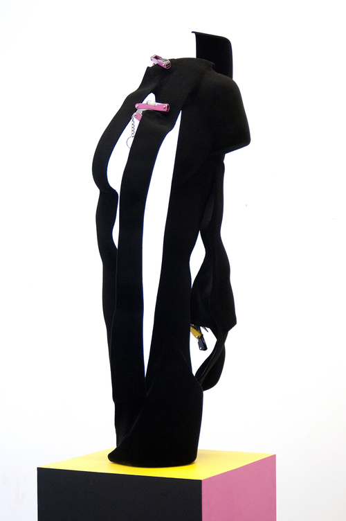 jesse robinson : Confiscation Displays