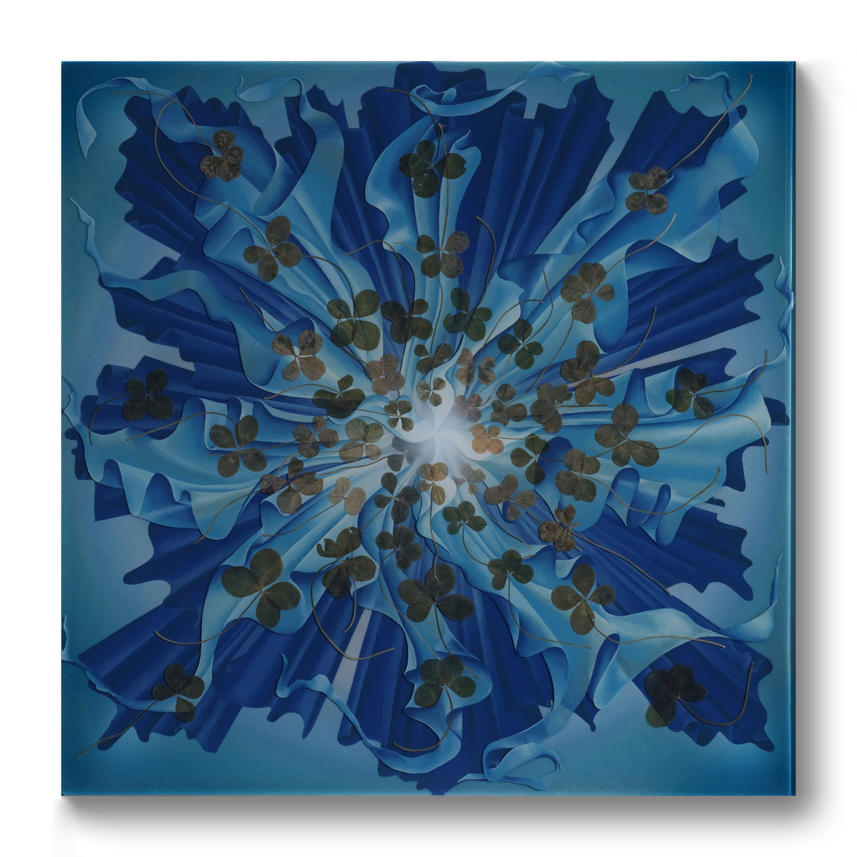 Leslie Hirst : Portfolio : Clover Paintings