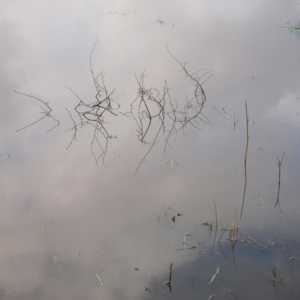 Michael Wright : digital photographs