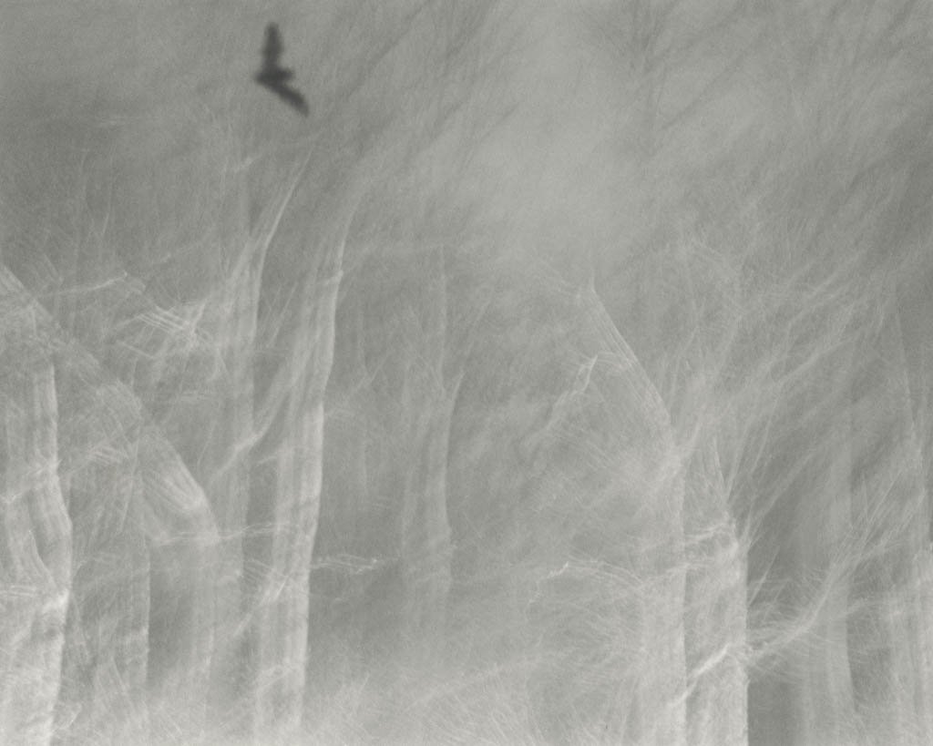 N.Y. Photo Curator: Global Photography Awards- 'Where Photography ...