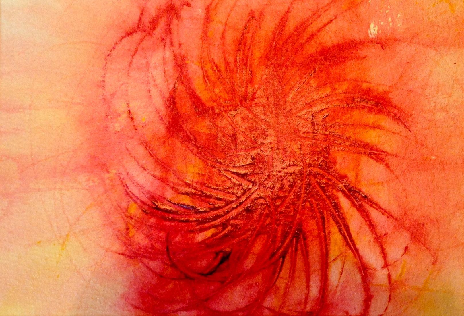 Nancy Vandenberg : Watercolor Paintings