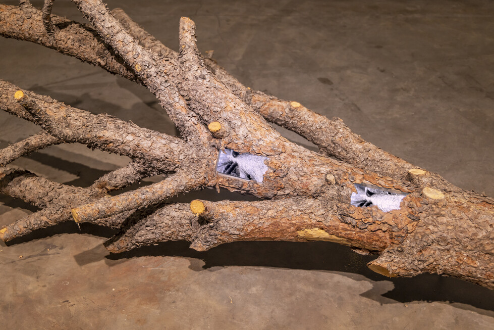 Alex Branch : Projects and Exhibitions : Calibration