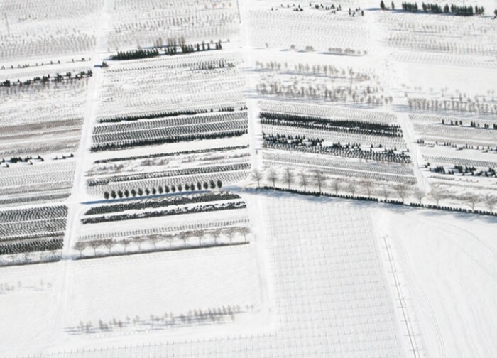 Andrea Sanders : Drive-bys