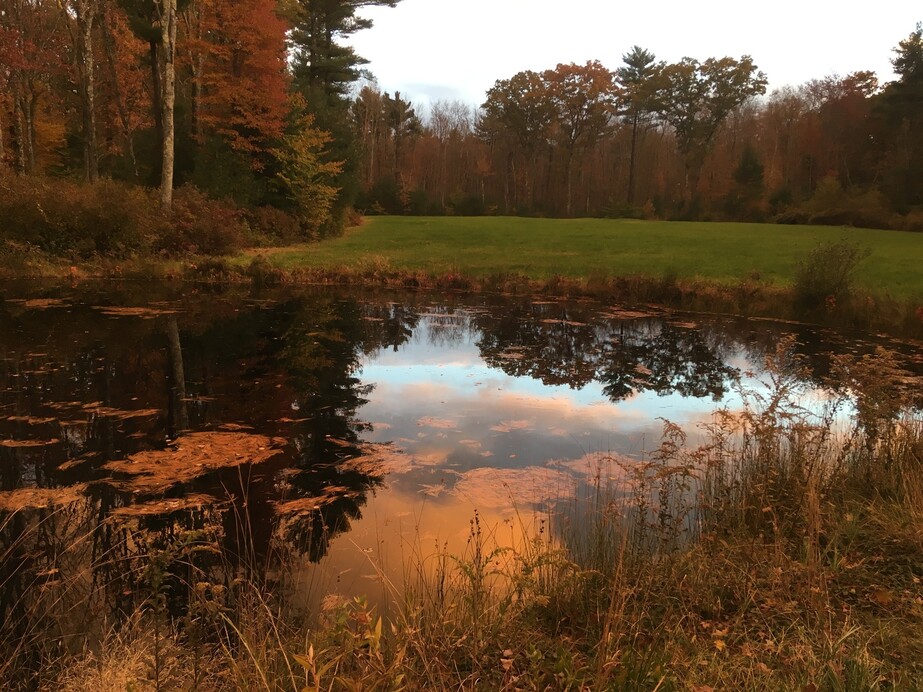 BLACK POND STUDIO : BIOS