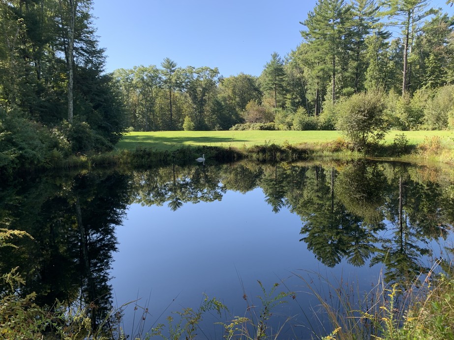 BLACK POND STUDIO : PAST WORKSHOPS