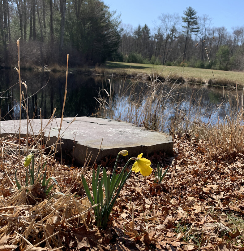 BLACK POND STUDIO : ABOUT