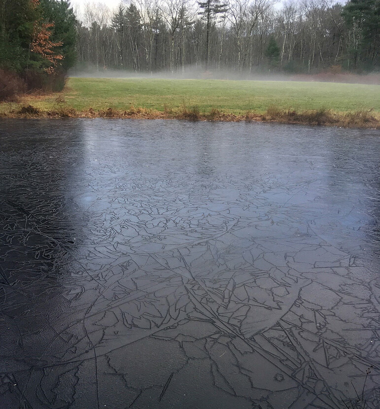 BLACK POND STUDIO : ABOUT