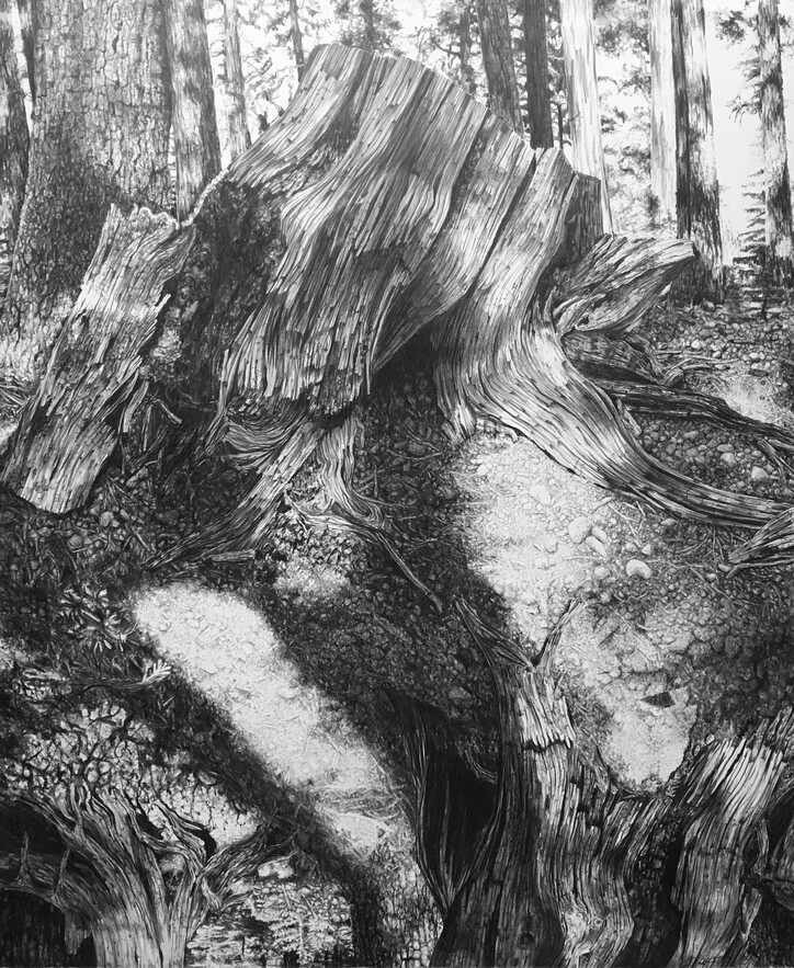 Dan Keegan : Climate Change Series