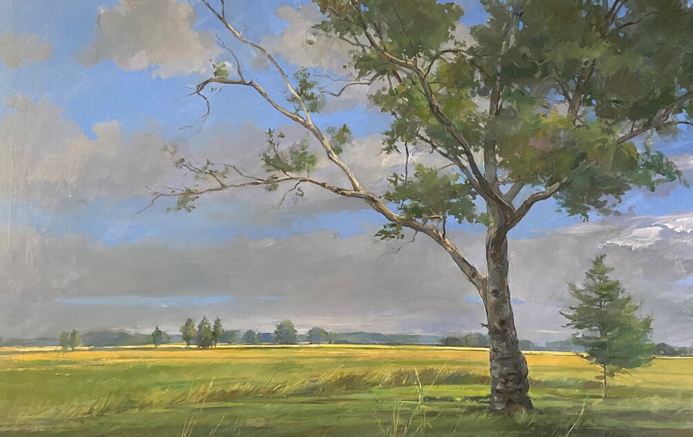 Douglas Martenson : About