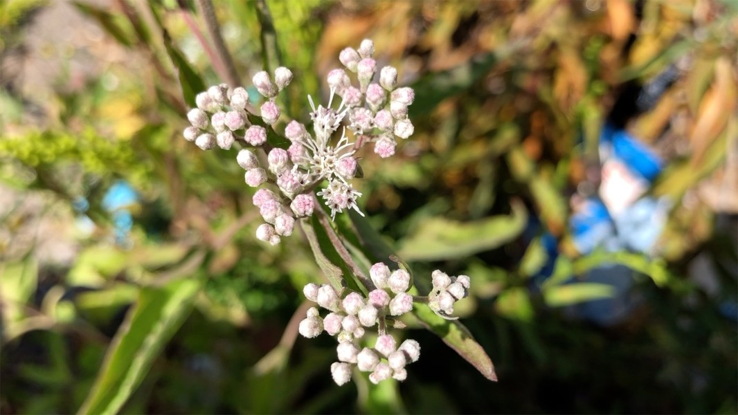 James Walsh : Projects : A Piece of String My Height