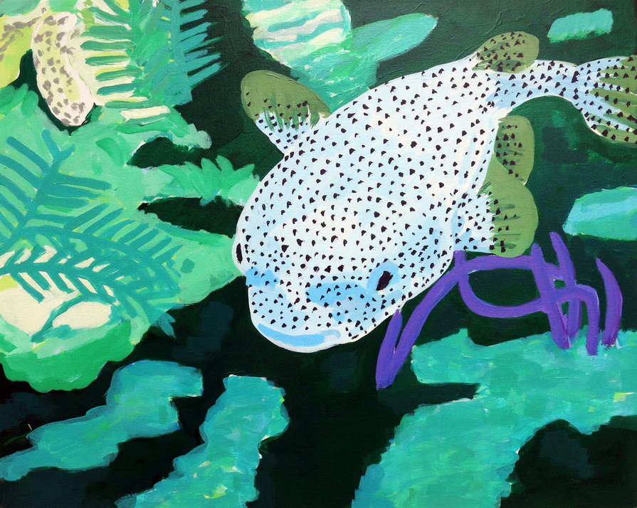 Jim Schaefer : 1967 - 1974