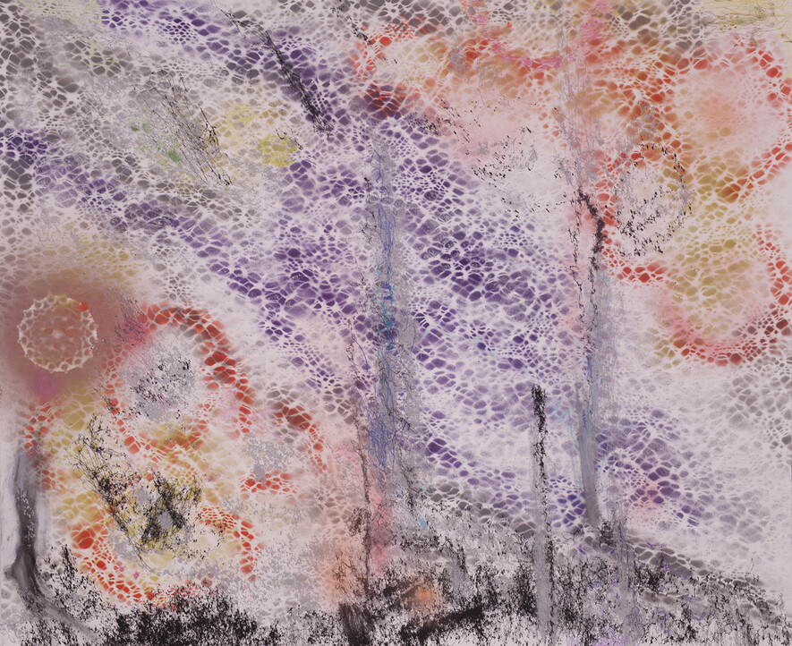 Robin Bush-Vance : Bio