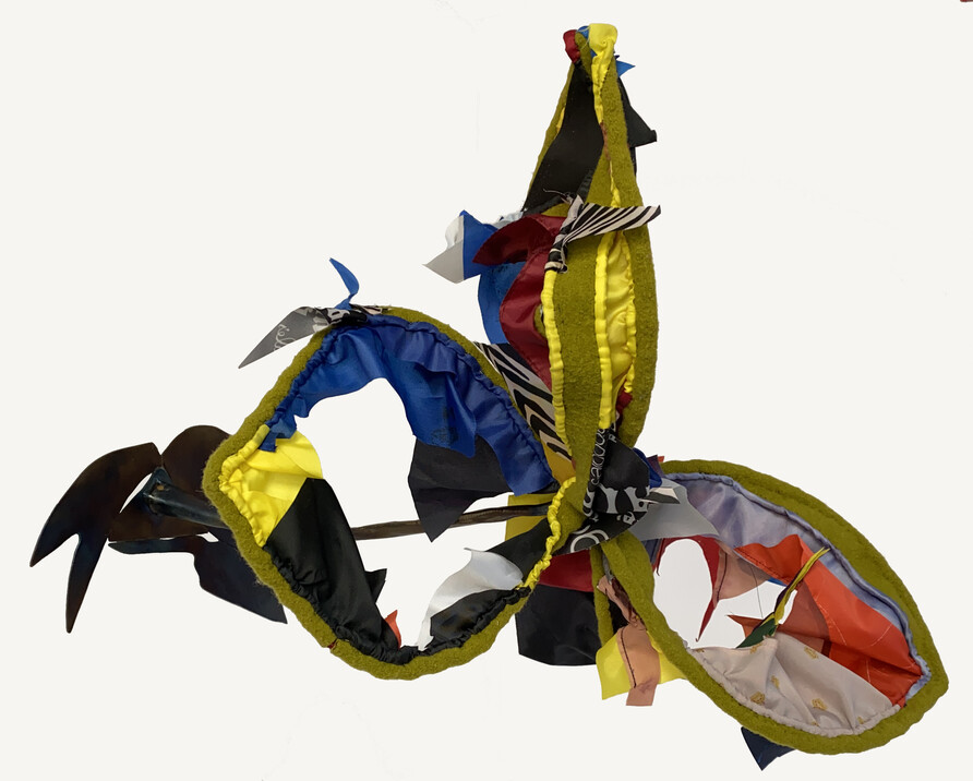 Robin M Jordan : About : Biography