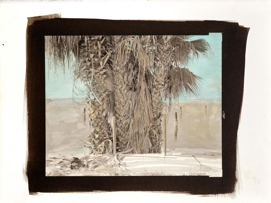 SUSAN HUBER : Artist Information : Biography