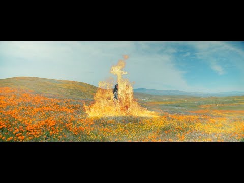 Kayzo - Up In Flames (2019) | IMVDb