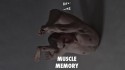 Dems - Muscle Memory (2014) | IMVDb