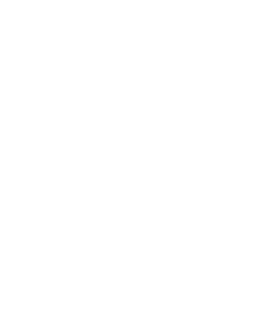 Introduction - Indagare