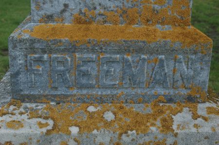 FREEMAN, FAMILY MONUMENT - Clinton County, Iowa | FAMILY MONUMENT ...