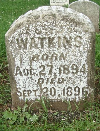 WATKINS, HAROLD - Dubuque County, Iowa | HAROLD WATKINS - Iowa ...