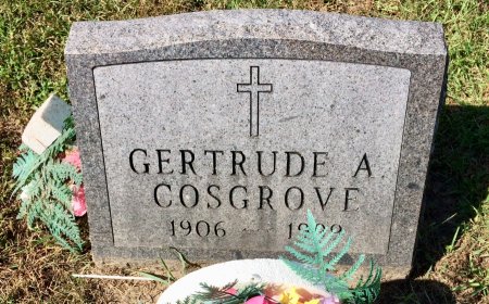 COSGROVE, GERTRUDE A. - Linn County, Iowa | GERTRUDE A. COSGROVE - Iowa ...