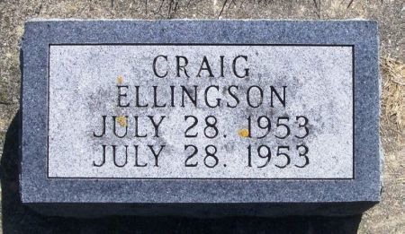 ELLINGSON, CRAIG - Winneshiek County, Iowa | CRAIG ELLINGSON - Iowa ...