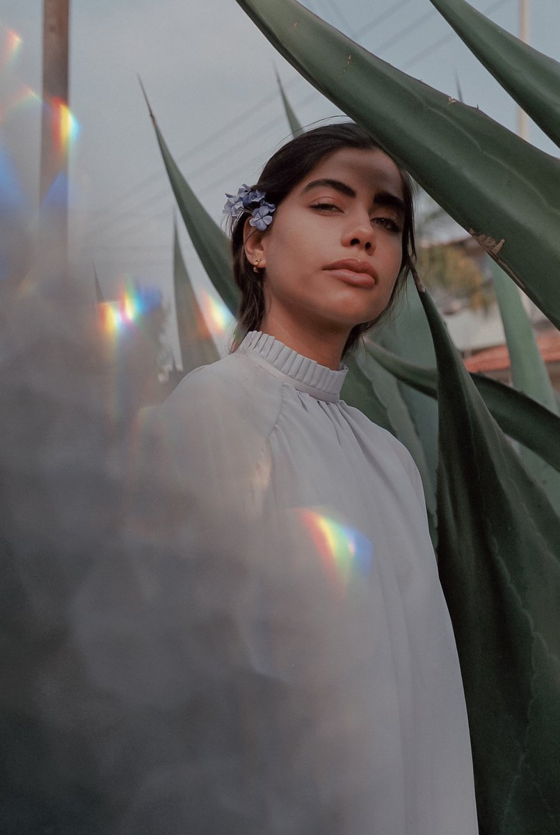 @Sebastien.oficial - Kavyar