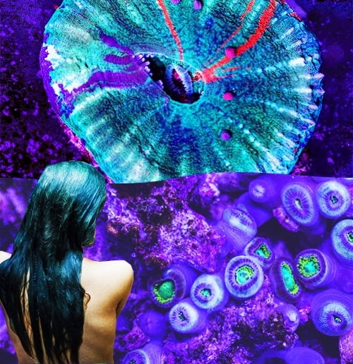 Photo by Susana Moncada - Kavyar