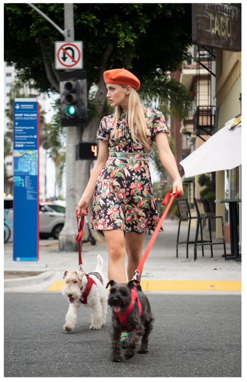 Photo by D Jesus Trujillo, Chiaroscuro Fotografia, Reyna Khalil, Dalia ...