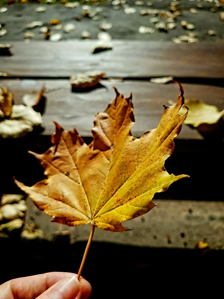 Photo by Irina Drozdova - Kavyar