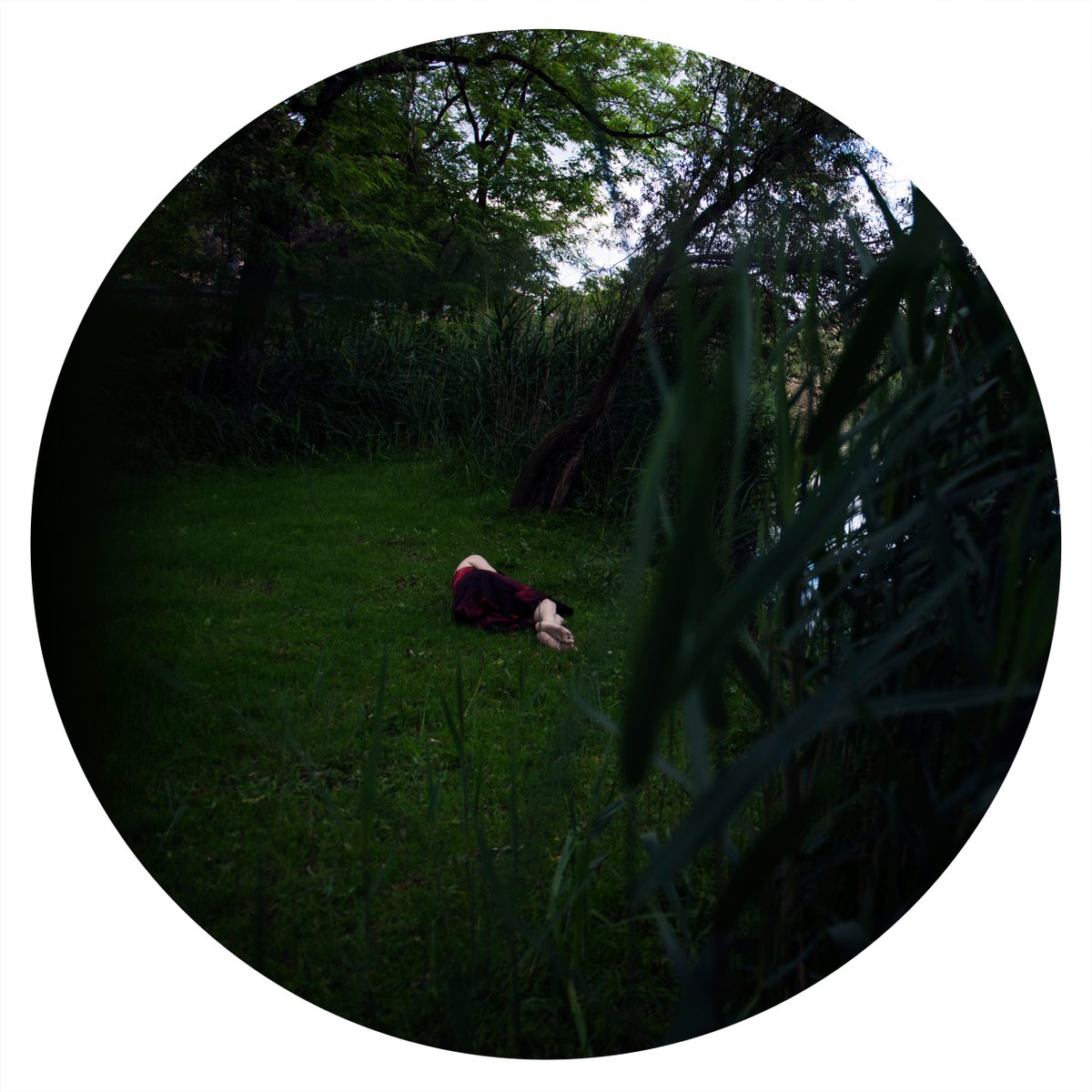 Photo by Thomas O, Alessia Gobbo - Kavyar