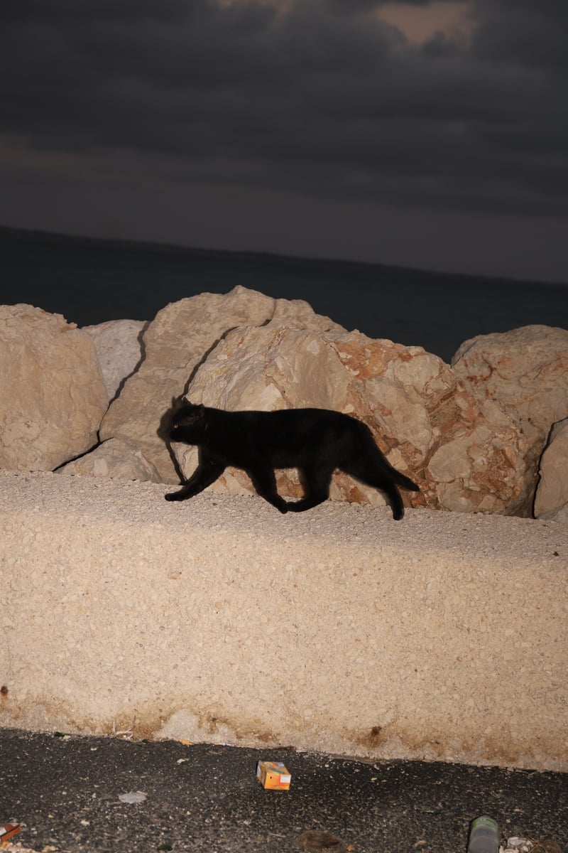 Photo by Francesca Cocuzza, Jessica Raddino - Kavyar