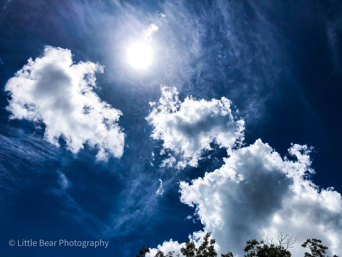 Photo by Jen Pedicini - Kavyar