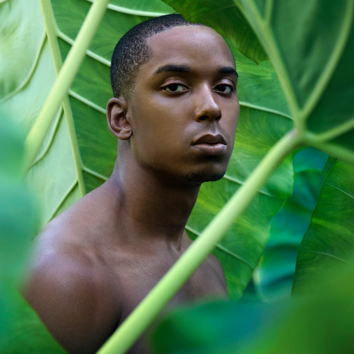 Henry Castro - Kavyar