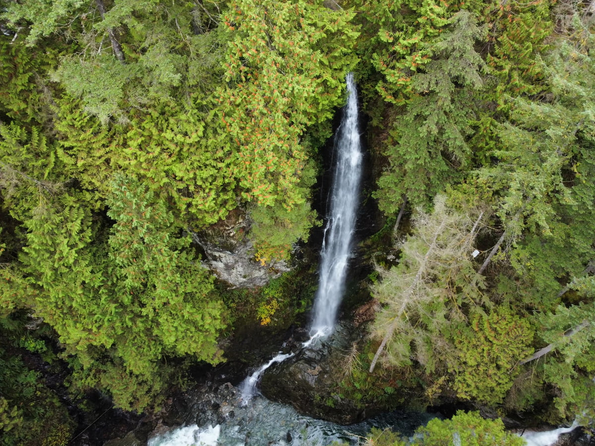 Photo by Robert Weatherbee - Kavyar