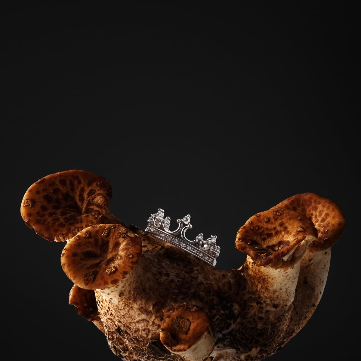 Photo by Ольга Строцкая, Dmitriy Strotskiy - Kavyar