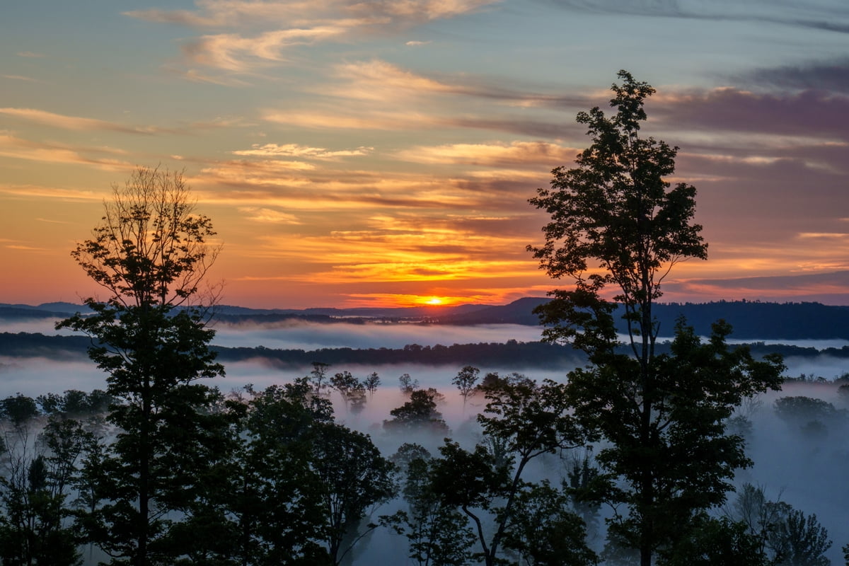 Photo by Devin Howe - Kavyar