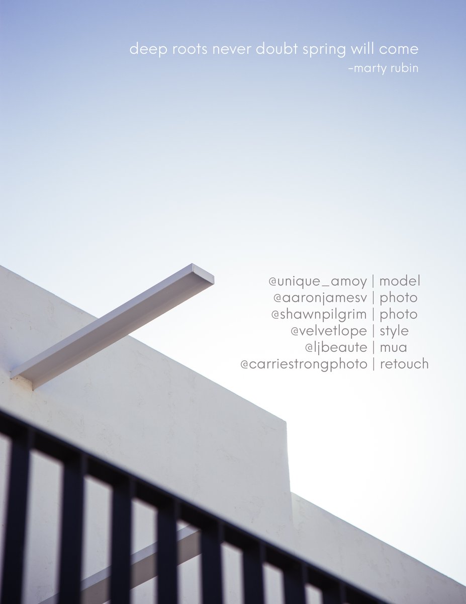 Shawn Pilgrim - Kavyar