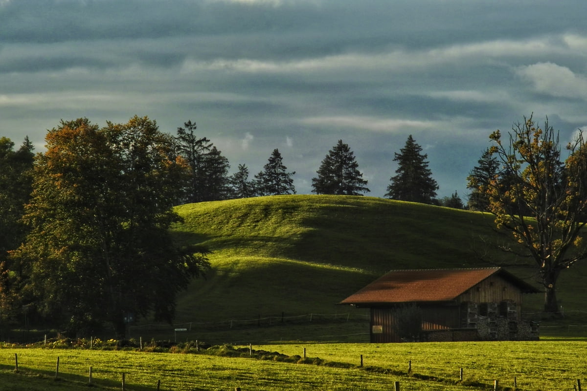 Photo by Korbinian Schwertl - Kavyar