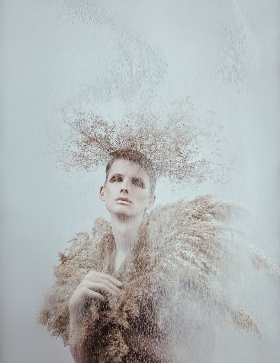 Photo by Лолита Шмидт, Alex Kot, Aleksey Voitenko, Oksana Sinin - Kavyar