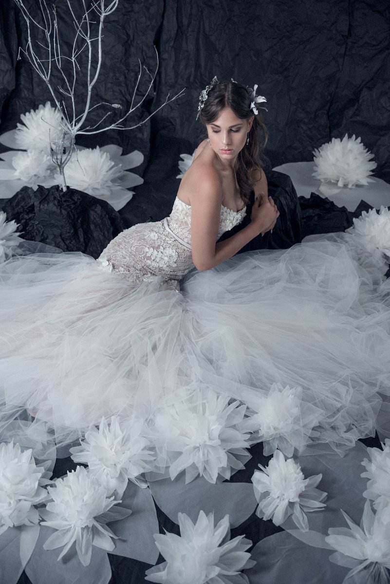 Photo by BeautyMute, Cerys Wrigley-Moss, Conrad Lee, Annalize Senol ...